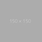 Index-Digital-University